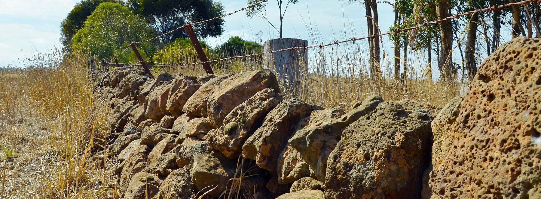 MT MERCER PORK - OUTDOOR BRED