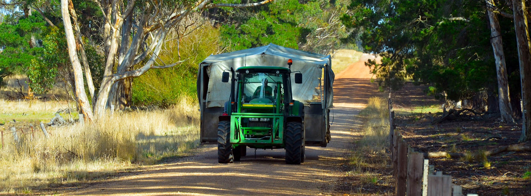 MT MERCER PORK - OUTDOOR BRED